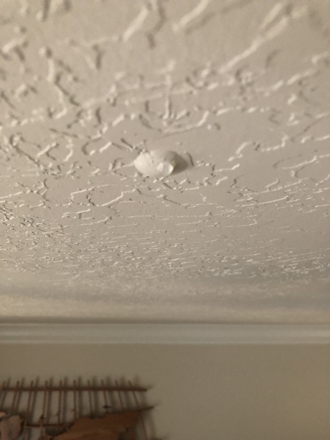 Ceiling Wet From Leak | Armor Restoration